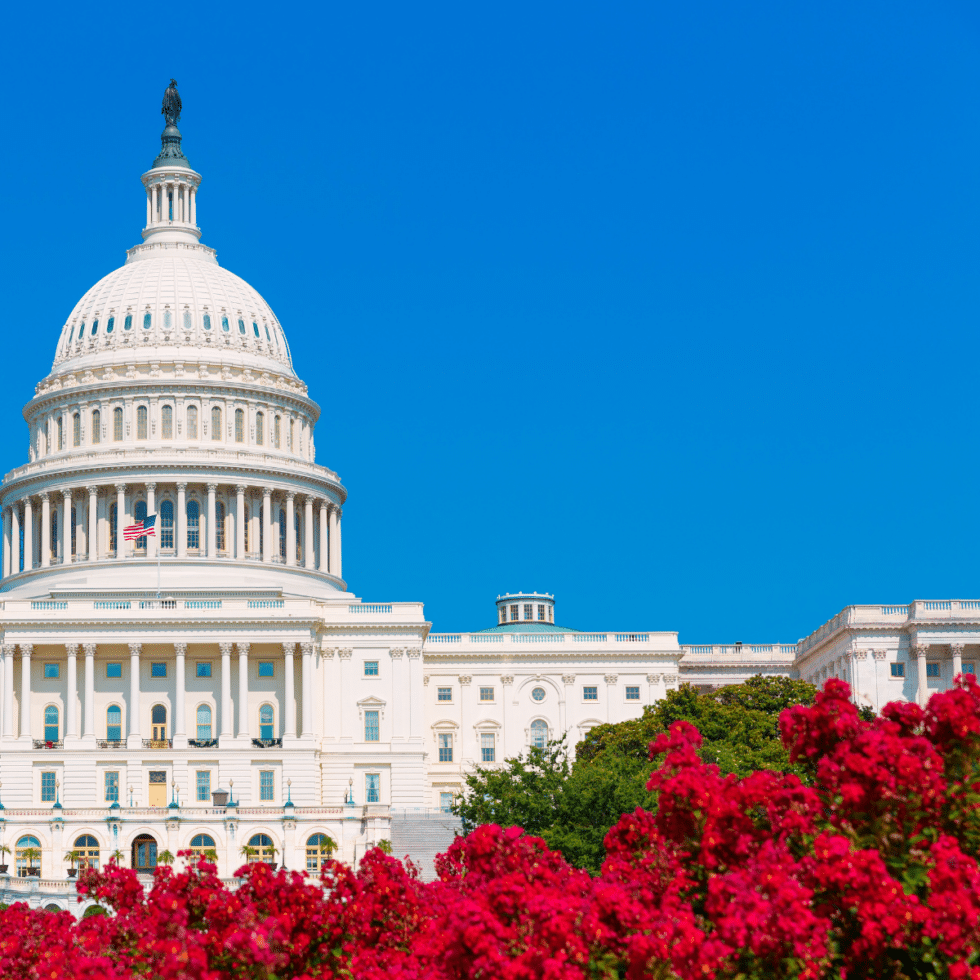 Report to Congress: An Overview of Bereavement and Grief Services in ...